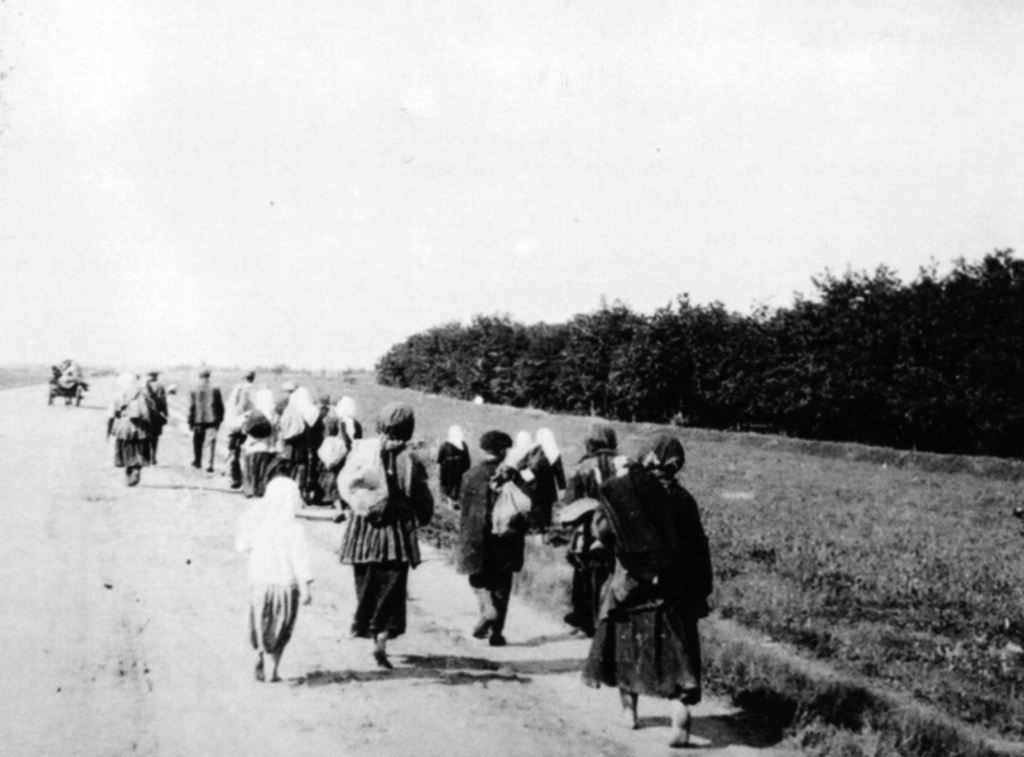 Cases of Genocide | Genocide Education Project