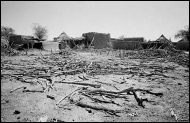 Cases of Genocide | Genocide Education Project